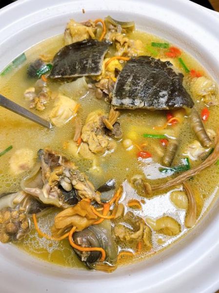 甲鱼怎么做好吃_甲鱼怎么炖汤最补-第1张图片-山城妙识