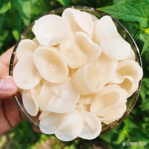 白木耳要泡多久才能煮_白木耳泡发时间多久合适-第2张图片-山城妙识