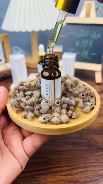 苍耳子能治鼻炎吗_苍耳子怎么服用最有效-第2张图片-山城妙识 苍耳子能治鼻炎吗_苍耳子怎么服用最有效-第2张图片-山城妙识