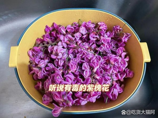 紫色洋槐花的功效与作用_紫色洋槐花能吃吗-第1张图片-山城妙识