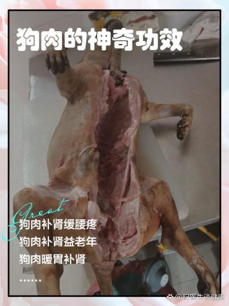 煮狗肉怎样去腥味_狗肉去腥最有效的方法-第2张图片-山城妙识