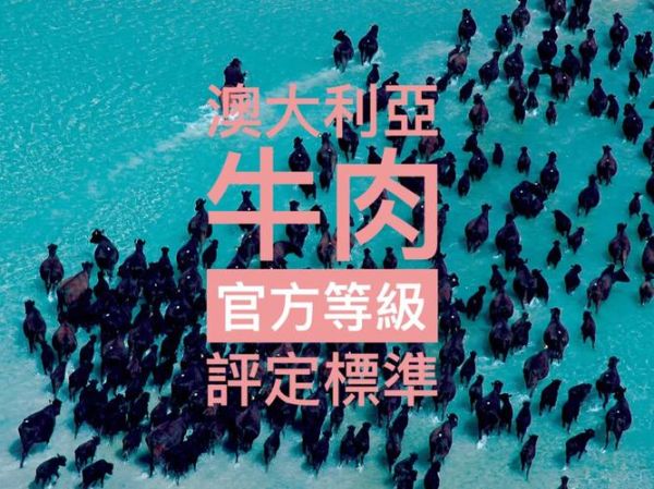 澳洲牛排等级怎么选_MSA和AUS-MEAT区别-第3张图片-山城妙识