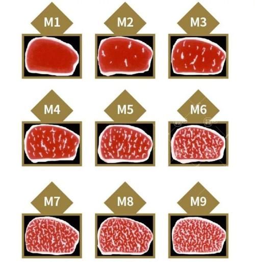 澳洲牛排等级怎么选_MSA和AUS-MEAT区别-第2张图片-山城妙识