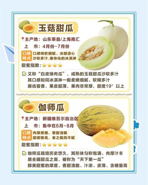 甜瓜的营养价值与功效_甜瓜有哪些作用-第1张图片-山城妙识