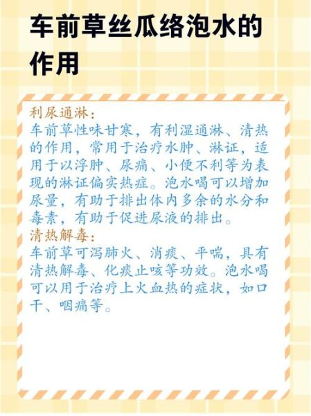 车前草泡水哪些人不能喝_禁忌人群全解析-第2张图片-山城妙识