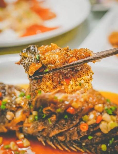 石斑鱼价格排行_石斑鱼多少钱一斤-第1张图片-山城妙识