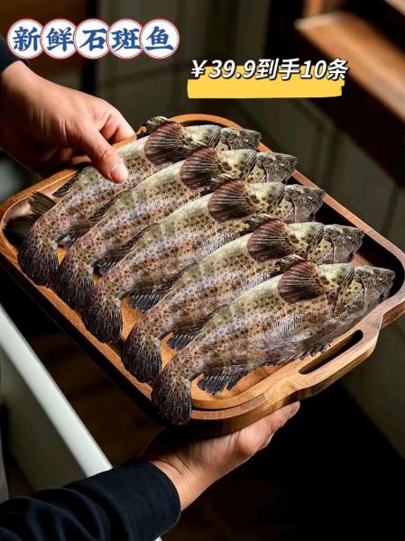 石斑鱼价格排行_石斑鱼多少钱一斤-第2张图片-山城妙识