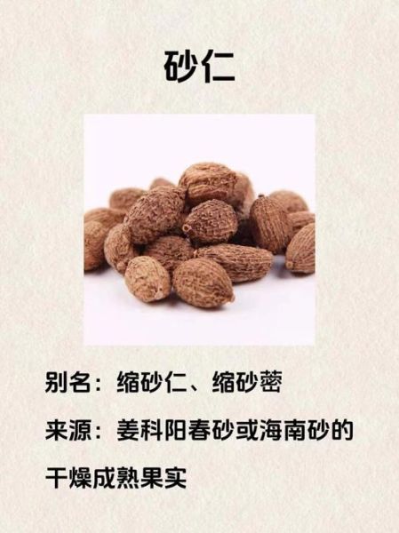 砂仁的功效与作用及禁忌是什么_砂仁哪些人不能吃-第1张图片-山城妙识