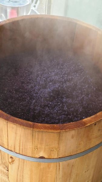 乌饭树叶的功效与作用_乌饭树叶怎么吃最好-第2张图片-山城妙识 乌饭树叶的功效与作用_乌饭树叶怎么吃最好-第2张图片-山城妙识