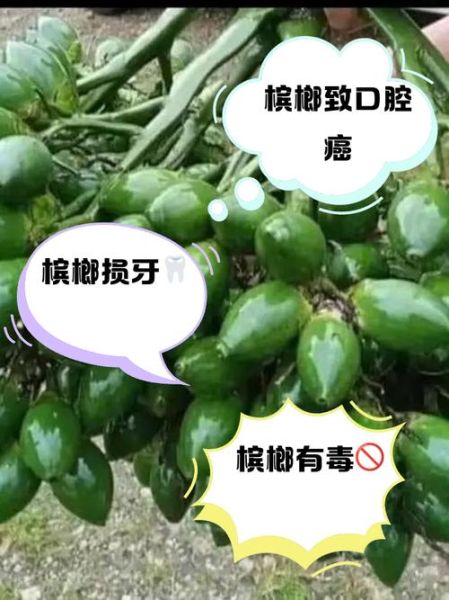 长期吃槟榔的危害有哪些_槟榔致癌是真的吗-第3张图片-山城妙识