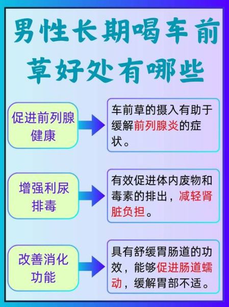 车前草泡水喝的功效与副作用_能长期喝吗-第1张图片-山城妙识 车前草泡水喝的功效与副作用_能长期喝吗-第1张图片-山城妙识