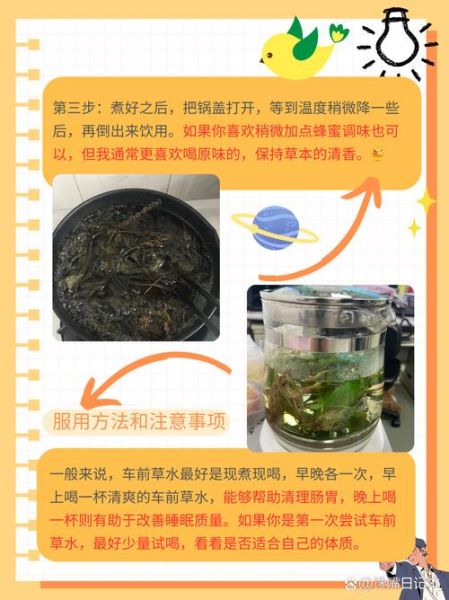 车前草泡水喝的功效与副作用_能长期喝吗-第3张图片-山城妙识 车前草泡水喝的功效与副作用_能长期喝吗-第3张图片-山城妙识