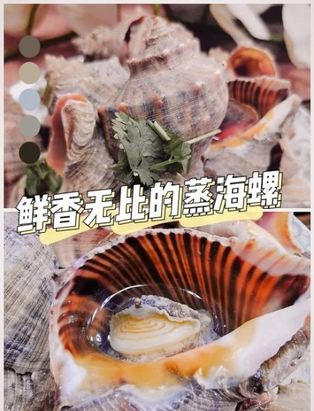 海螺怎么做好吃_海螺烹饪技巧-第2张图片-山城妙识 海螺怎么做好吃_海螺烹饪技巧-第2张图片-山城妙识