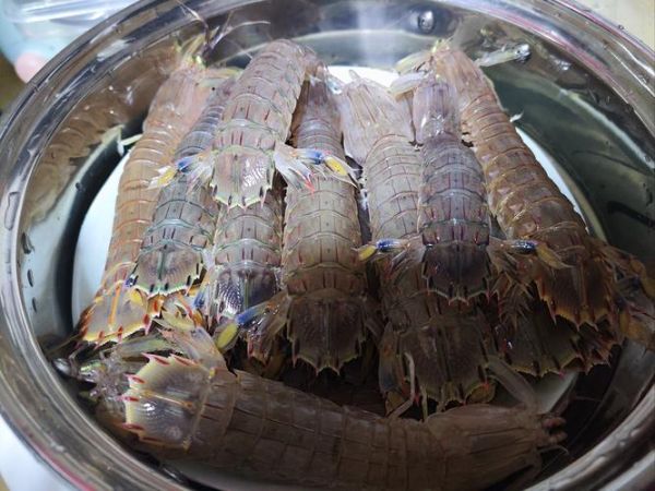 琵琶虾蒸多久才熟_蒸琵琶虾的正确时间-第1张图片-山城妙识
