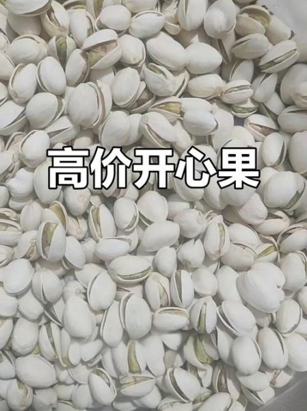 开心果多少钱一斤_开心果价格为什么差距大-第3张图片-山城妙识