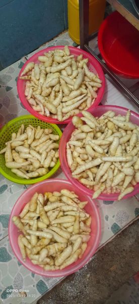 冬笋粉的功效与作用_适合什么人吃-第1张图片-山城妙识