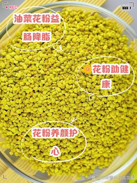 油菜花粉的功效与作用_油菜花粉的禁忌有哪些-第1张图片-山城妙识