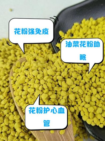 油菜花粉的功效与作用_油菜花粉的禁忌有哪些-第2张图片-山城妙识