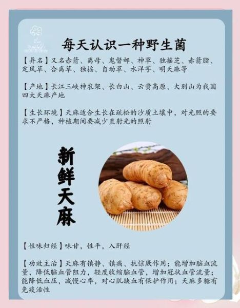 天麻怎么吃效果最好_天麻的功效有哪些-第2张图片-山城妙识