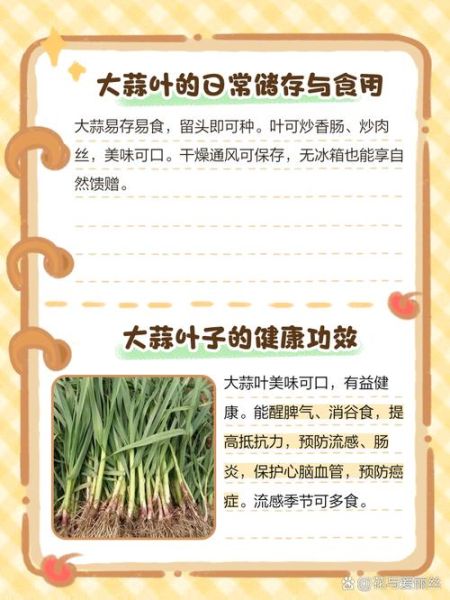 大蒜叶的功效与作用_大蒜叶的害处有哪些-第2张图片-山城妙识