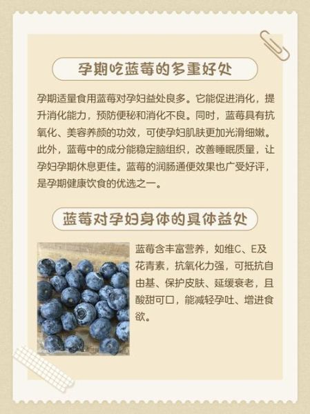 孕妇一天吃多少颗蓝莓_孕妇吃蓝莓的最佳时间-第1张图片-山城妙识