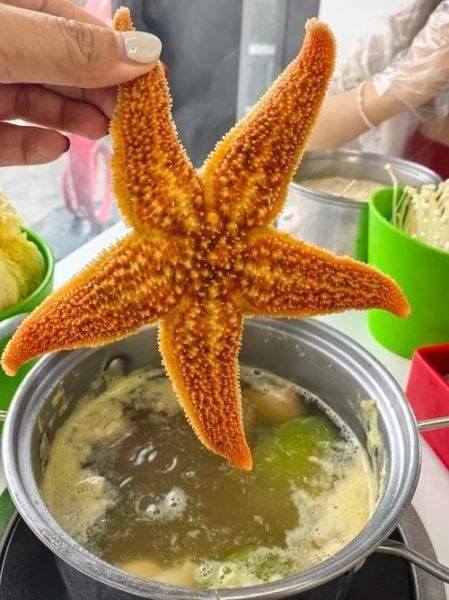 吃海星中毒什么反应_海星中毒症状多久出现-第2张图片-山城妙识