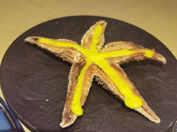 吃海星中毒什么反应_海星中毒症状多久出现-第3张图片-山城妙识