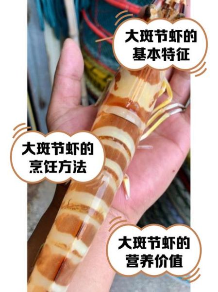 斑节对虾多少钱一斤_斑节对虾价格为什么波动大-第1张图片-山城妙识
