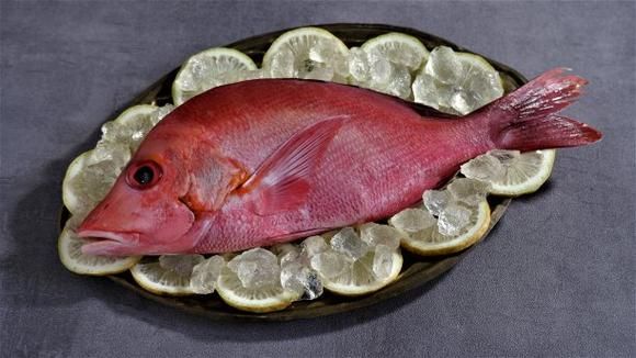 红鲷鱼什么人不能吃_红鲷鱼禁忌人群-第3张图片-山城妙识
