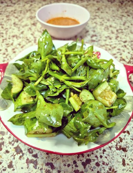 穿心莲怎么凉拌才好吃_穿心莲凉拌要不要焯水-第1张图片-山城妙识