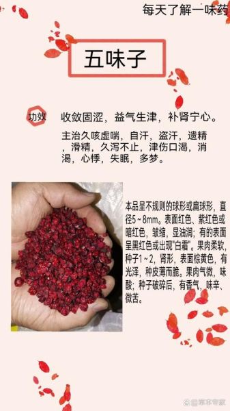 五味子有什么功效_五味子能长期吃吗-第3张图片-山城妙识