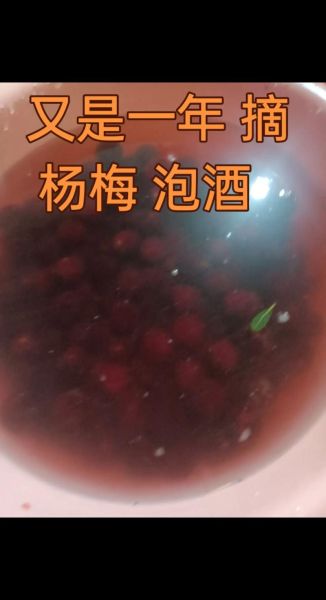泡杨梅酒用什么酒_杨梅酒比例是多少-第3张图片-山城妙识