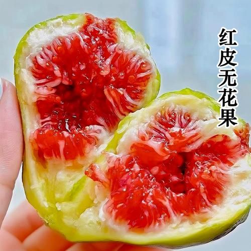 新鲜无花果怎么保存_无花果能放冰箱吗-第2张图片-山城妙识 新鲜无花果怎么保存_无花果能放冰箱吗-第2张图片-山城妙识