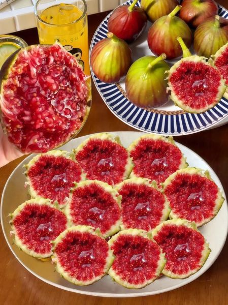 新鲜无花果怎么保存_无花果能放冰箱吗-第3张图片-山城妙识 新鲜无花果怎么保存_无花果能放冰箱吗-第3张图片-山城妙识