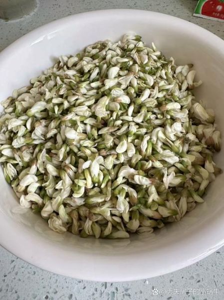 蒸槐花是开水蒸还是冷水蒸_槐花蒸多久才香软-第2张图片-山城妙识