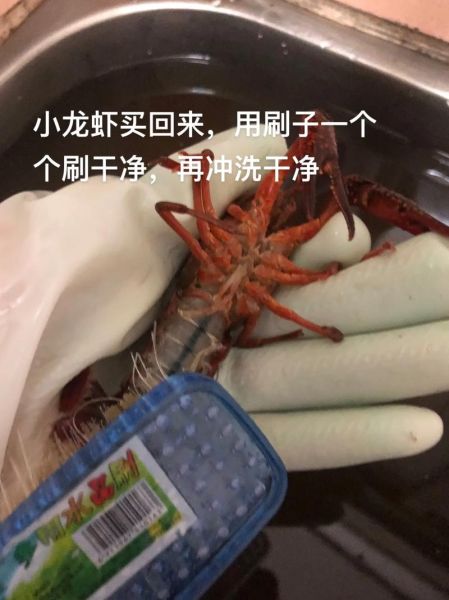 小龙虾怎么处理_小龙虾清洗步骤-第1张图片-山城妙识