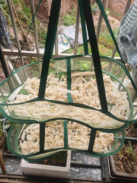 萝卜干怎么保存_萝卜干图片如何拍才好看-第2张图片-山城妙识 萝卜干怎么保存_萝卜干图片如何拍才好看-第2张图片-山城妙识