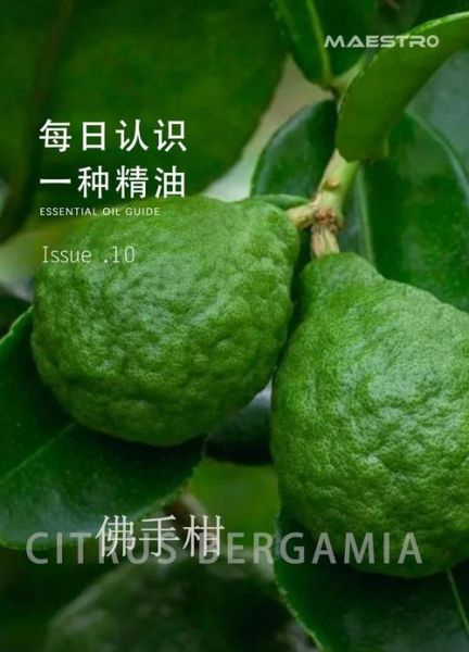 佛手柑什么味道_佛手柑精油味道像什么-第1张图片-山城妙识