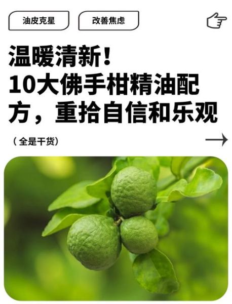佛手柑什么味道_佛手柑精油味道像什么-第2张图片-山城妙识