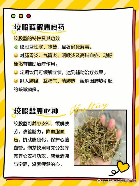 绞股蓝的功效与禁忌_哪些人不能喝-第3张图片-山城妙识