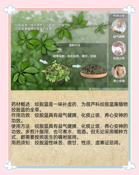 绞股蓝的功效与禁忌_哪些人不能喝-第2张图片-山城妙识