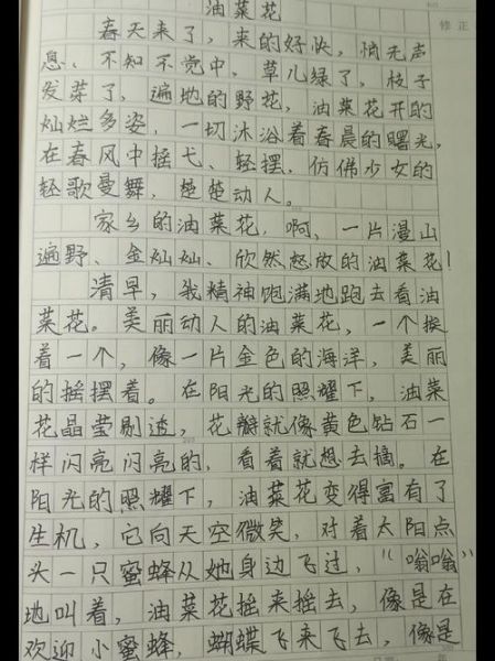 油菜花作文怎么写_油菜花300字作文技巧-第2张图片-山城妙识 油菜花作文怎么写_油菜花300字作文技巧-第2张图片-山城妙识