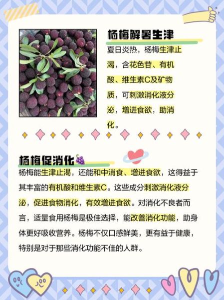 杨梅的营养价值_杨梅的功效与作用有哪些-第1张图片-山城妙识 杨梅的营养价值_杨梅的功效与作用有哪些-第1张图片-山城妙识
