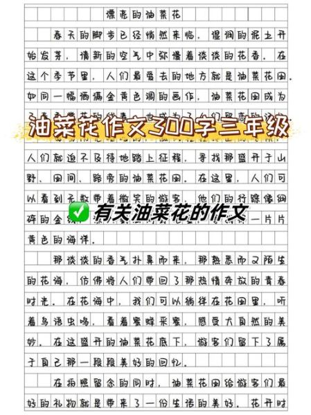 油菜花作文怎么写_油菜花300字作文技巧-第1张图片-山城妙识 油菜花作文怎么写_油菜花300字作文技巧-第1张图片-山城妙识