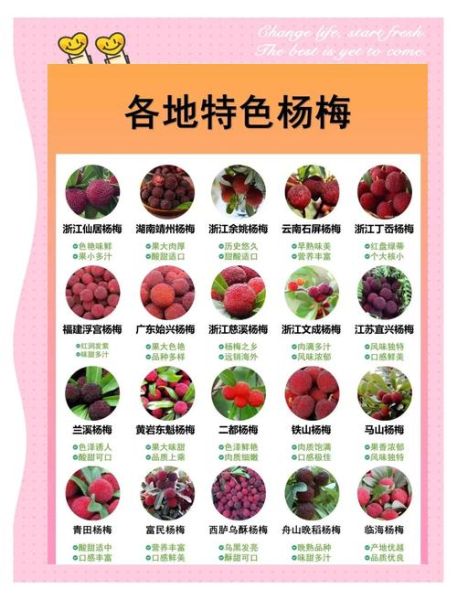 杨梅的营养价值_杨梅的功效与作用有哪些-第2张图片-山城妙识 杨梅的营养价值_杨梅的功效与作用有哪些-第2张图片-山城妙识