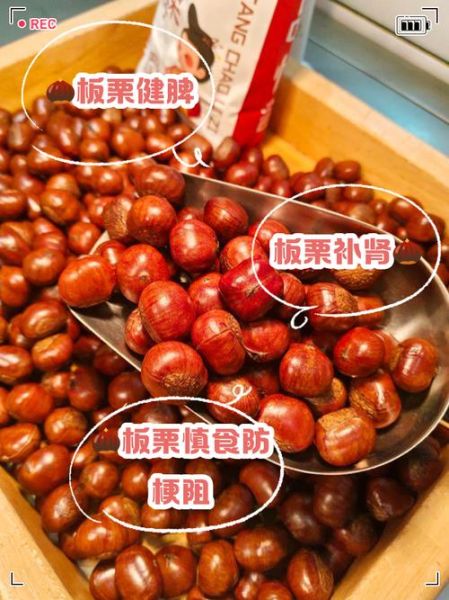 板栗的功效与作用害处_板栗吃多了会上火吗-第3张图片-山城妙识 板栗的功效与作用害处_板栗吃多了会上火吗-第3张图片-山城妙识