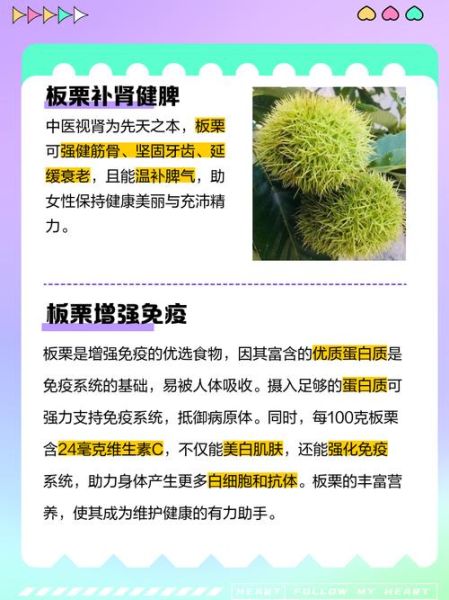 板栗的功效与作用害处_板栗吃多了会上火吗-第1张图片-山城妙识 板栗的功效与作用害处_板栗吃多了会上火吗-第1张图片-山城妙识