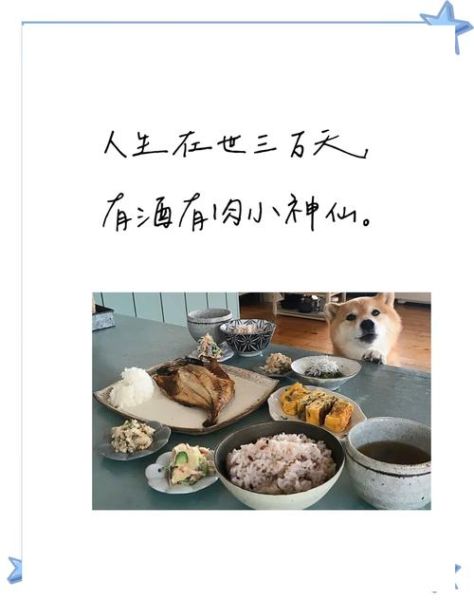 朋友圈美食配文怎么写_简短美食文案有哪些-第1张图片-山城妙识 朋友圈美食配文怎么写_简短美食文案有哪些-第1张图片-山城妙识