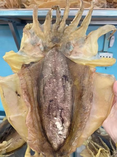 大墨鱼怎么做好吃_大墨鱼的做法大全-第2张图片-山城妙识