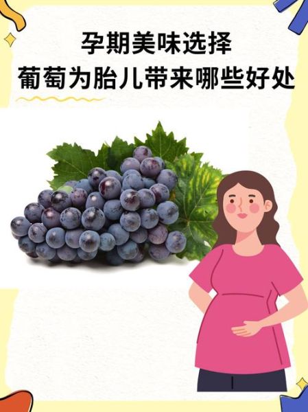 产妇可以吃葡萄吗_坐月子吃葡萄注意事项-第2张图片-山城妙识